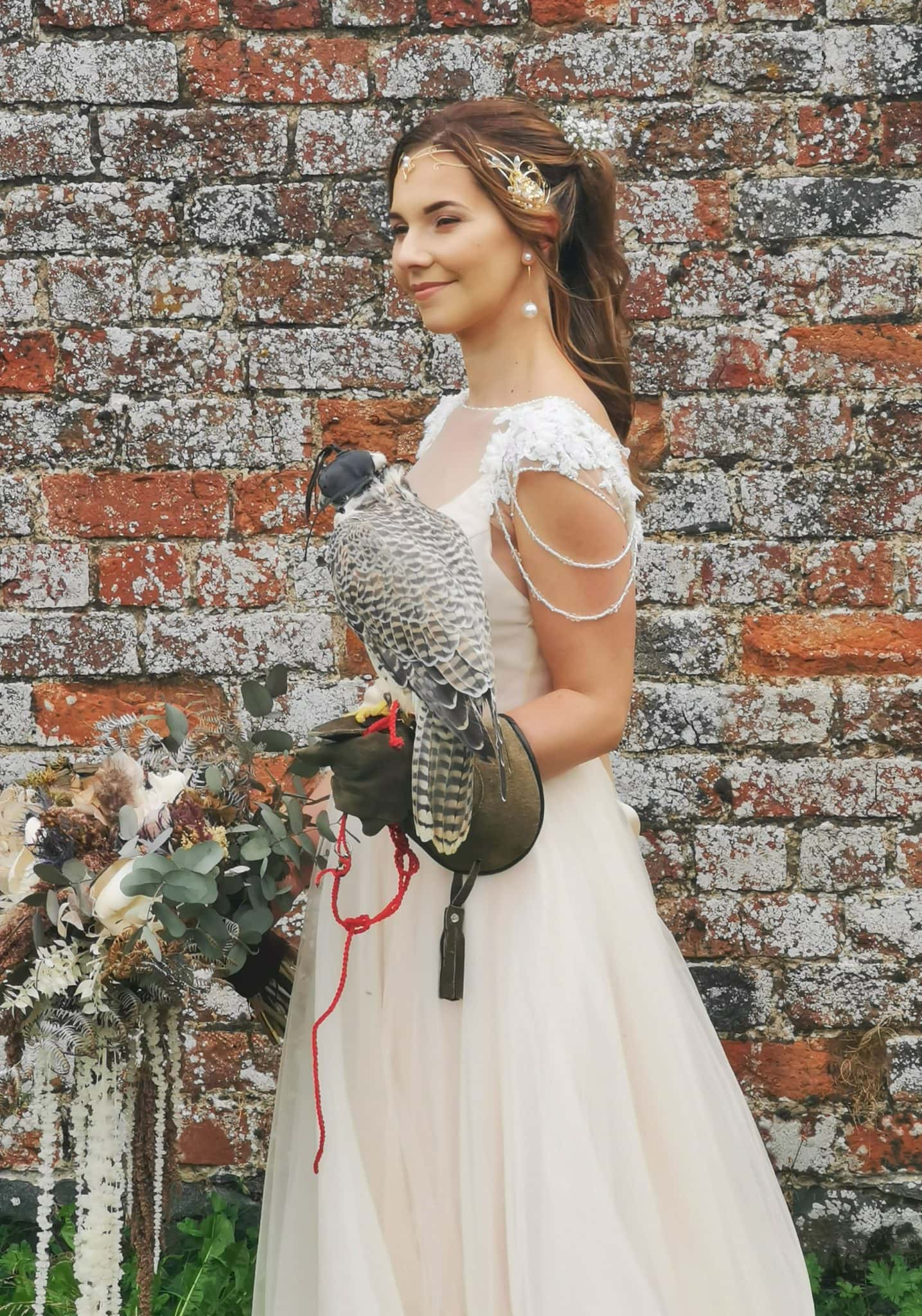 Falconry NI | Northern Ireland's Best Falconry Experiences
