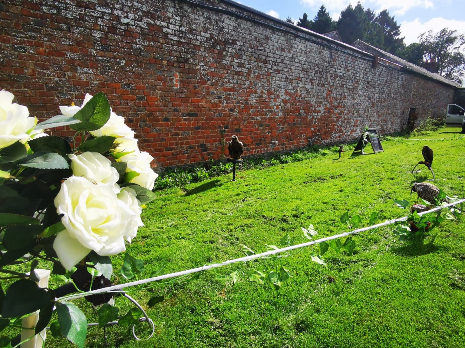 Falconry NI | Northern Ireland's Best Falconry Experiences