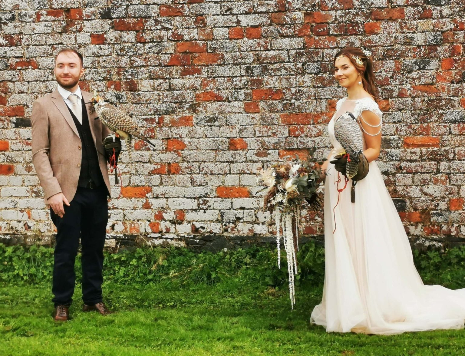 Falconry NI | Northern Ireland's Best Falconry Experiences