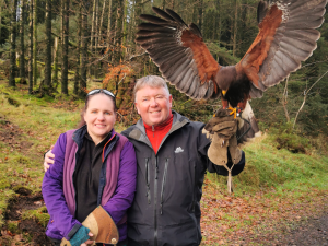 Falconry NI | Northern Ireland's Best Falconry Experiences